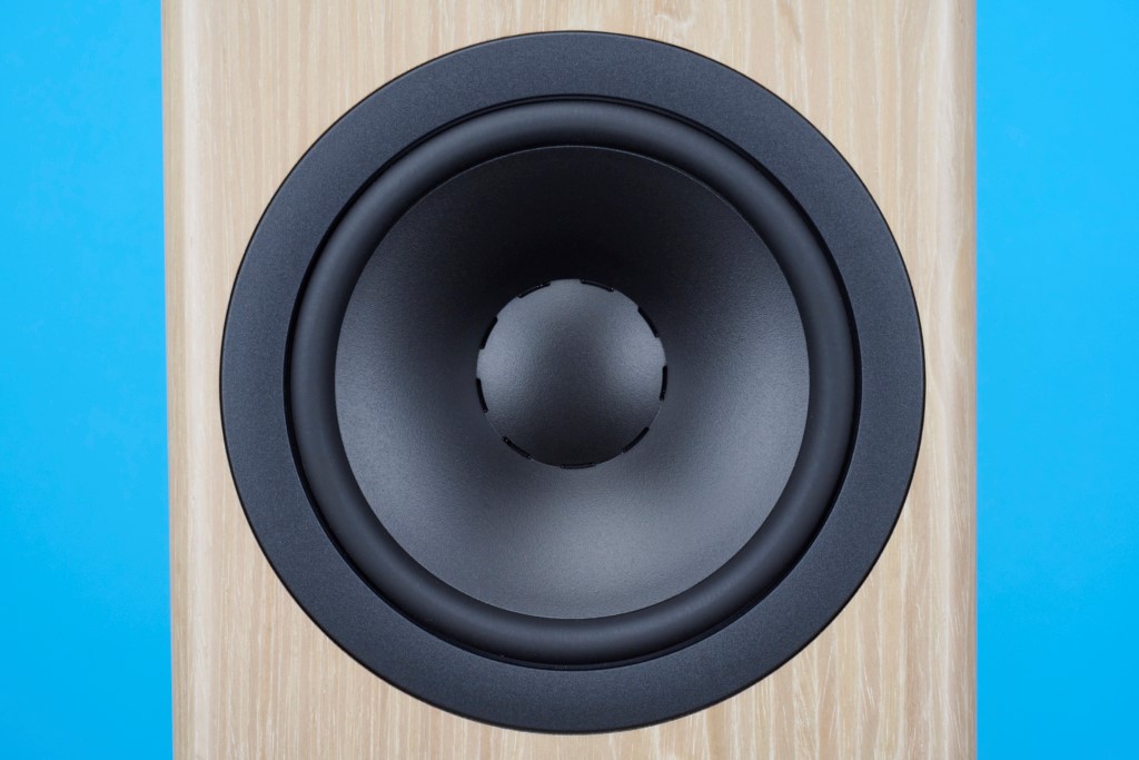 Dynaudio Evoke 50 - гениальные акустические системы на все случаи жизни!