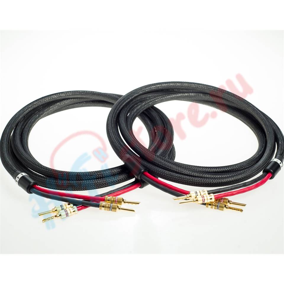 Straight Wire EXPRESSIVO SC 10 FT BAN-BAN купить со скидкой 63% в HI-FI ...